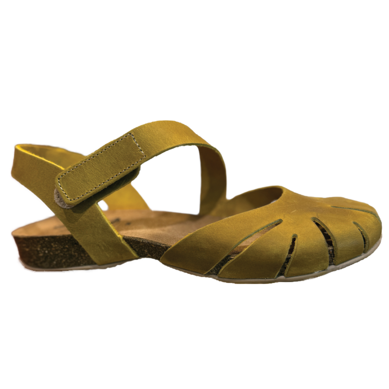 Women's Sabatini 4622 - Ocra - Stan's Shoes